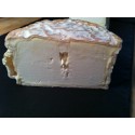 Surface Wash-rind Treatment - Geotrichum